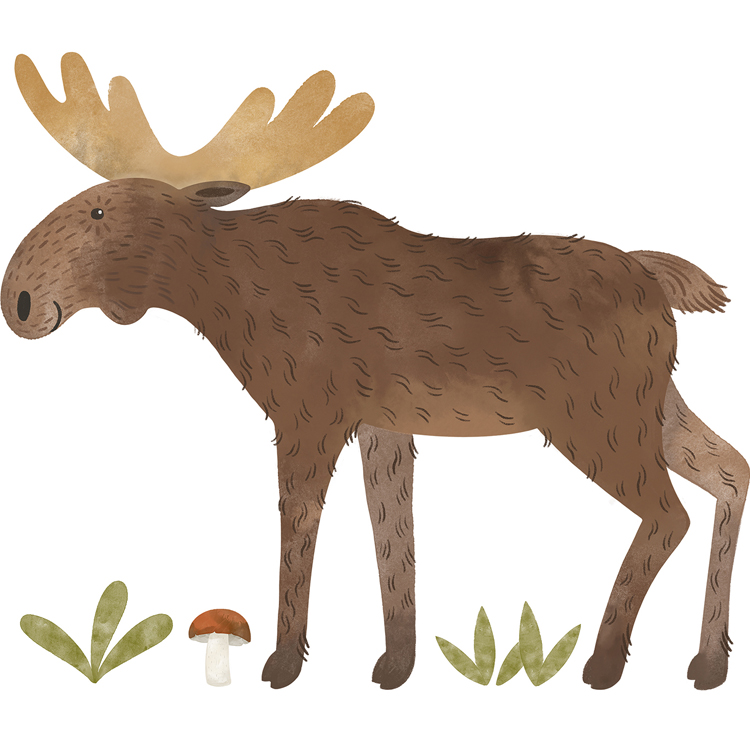 Sticker mural Elan (60 x 50 cm) - Lilipinso